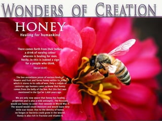 Wonders of creation | PPTX