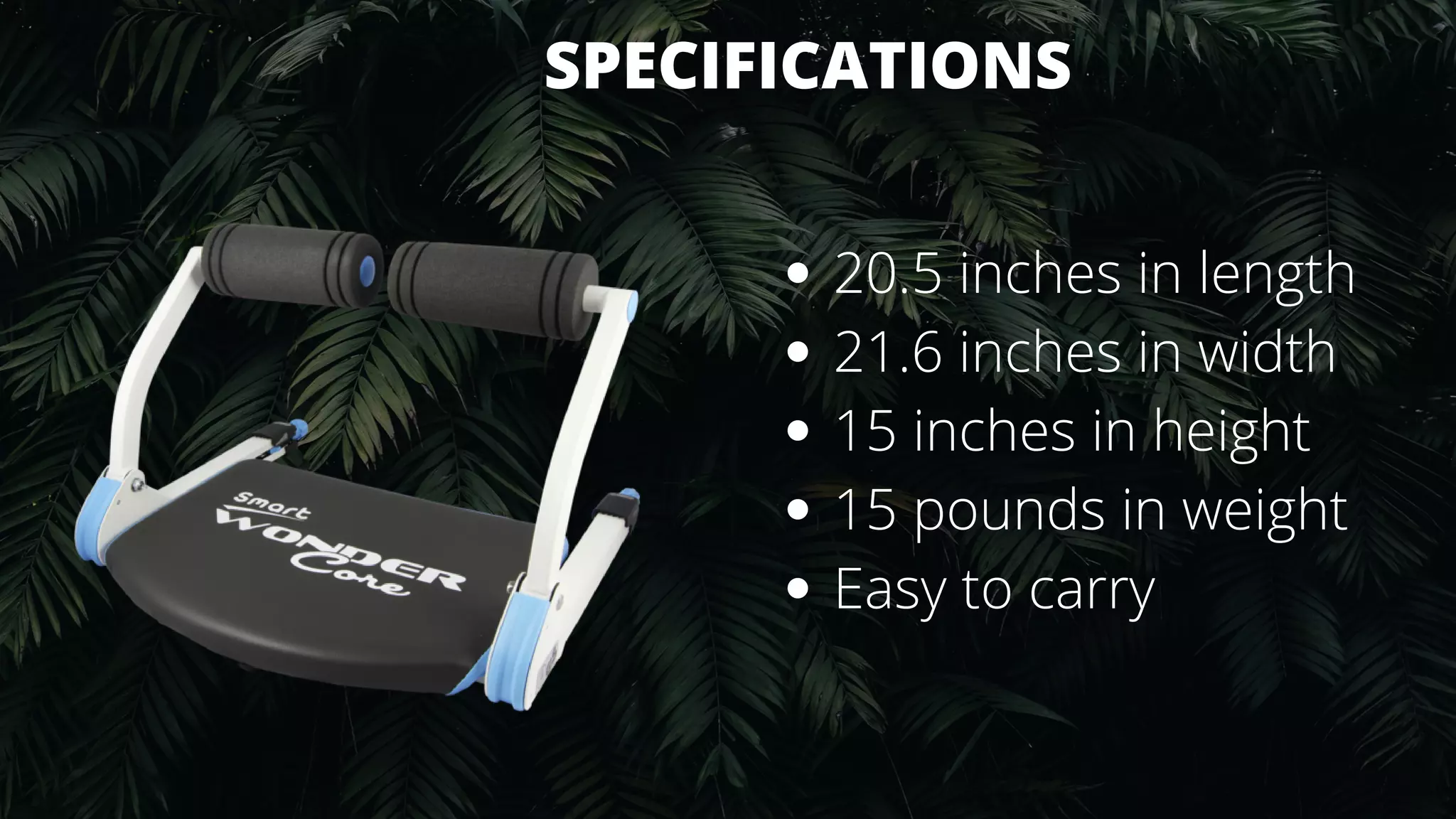 Wonder Core Exercise System Review | PPT