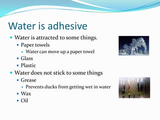 Wonderful waterppp | PPTX | Chemistry | Science