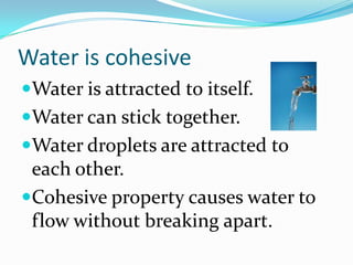 Wonderful waterppp | PPTX