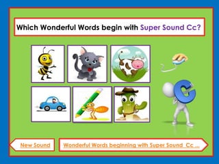 Wonderful Words, Super Sounds powerpoint | PPTX