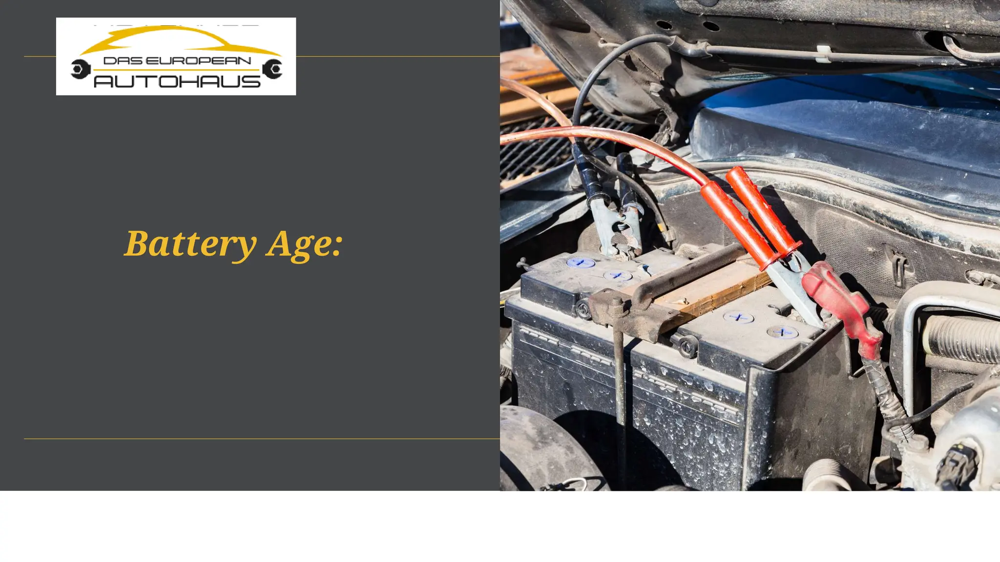 Wondering What Causes Your Car Battery To Drain Overnight Reasons ...
