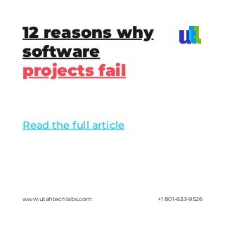 Wondering why software projects fail | PDF