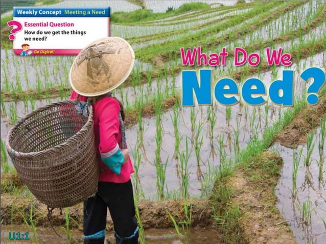 Wonders 5th Grade Reading Program Essential Questions | PPT