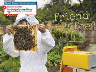 Wonders 5th Grade Reading Program Essential Questions | PPT