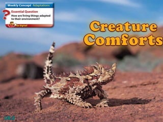 Wonders 5th Grade Reading Program Essential Questions | PPT