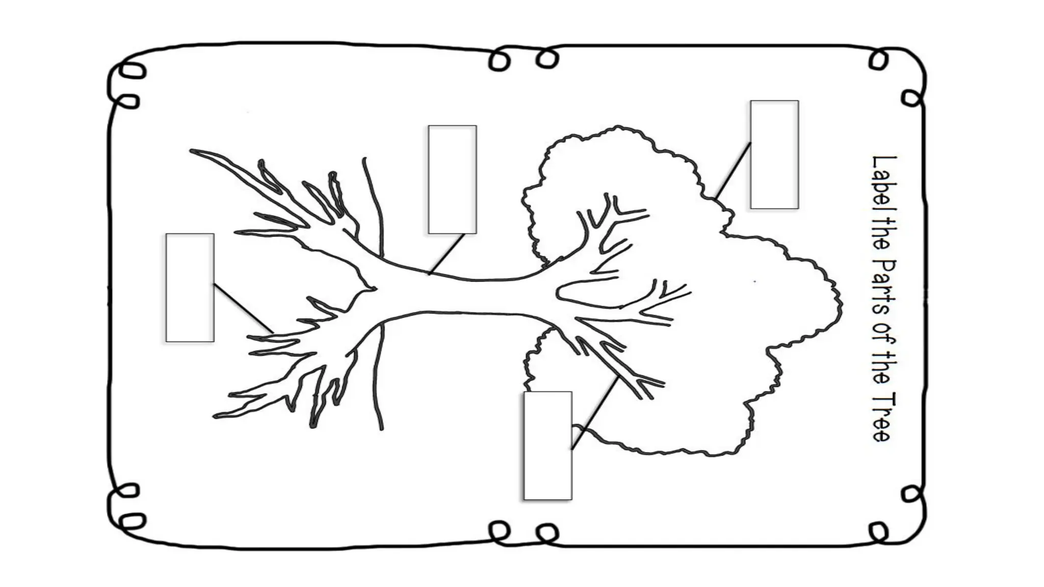 Wonders GK Unit 5, Week 2, Day 2 - Preview.pdf