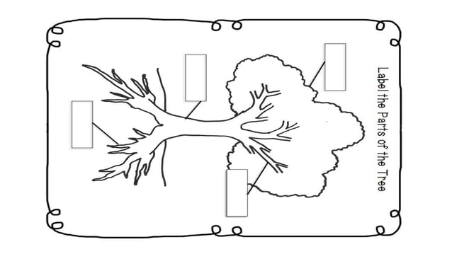 Wonders GK Unit 5, Week 2, Day 2 - Preview.pdf