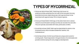Unraveling the Mysteries of Arbuscular Mycorrhizae | PDF