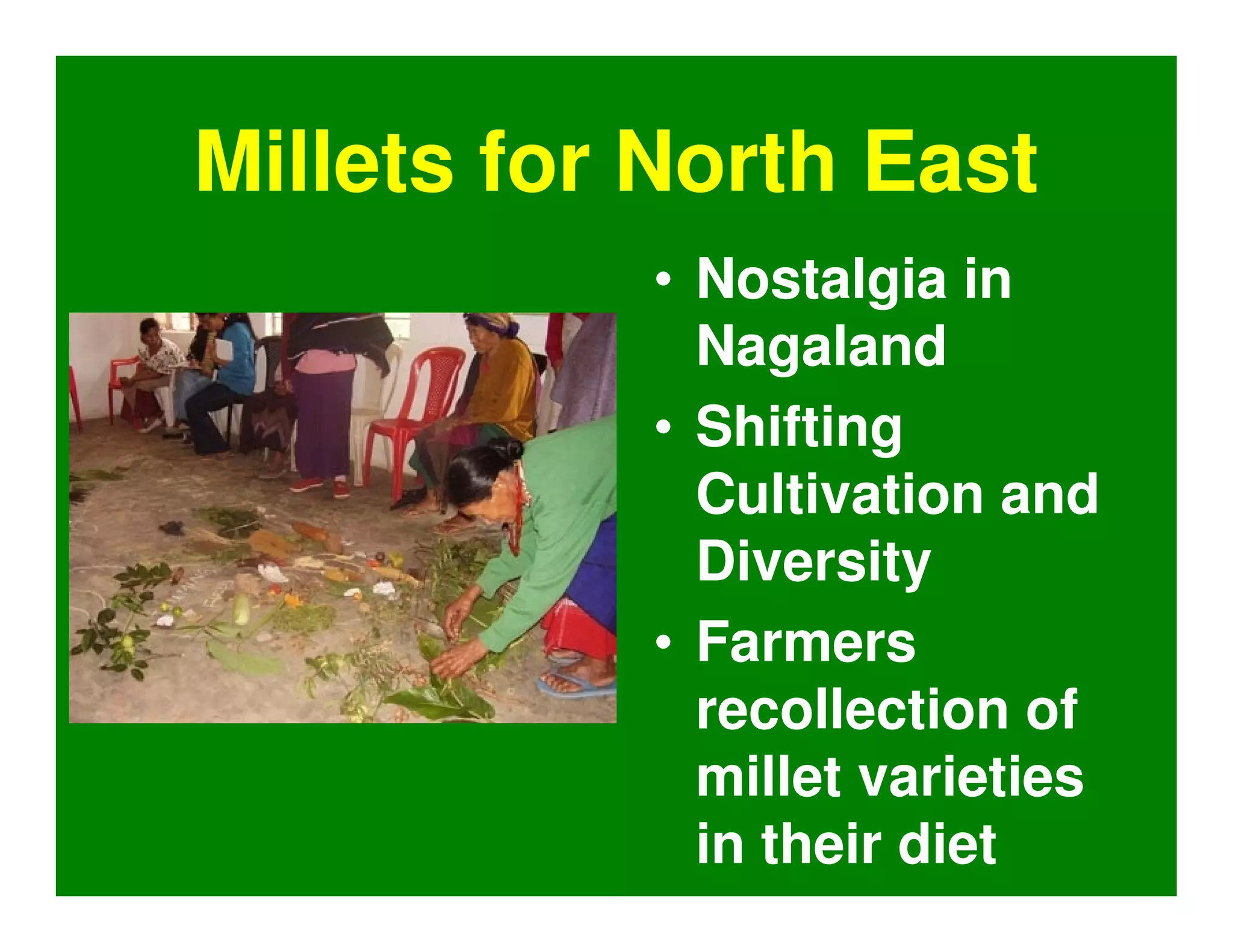 Wonder World Of Millets | PDF
