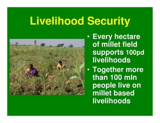 Wonder World Of Millets | PDF