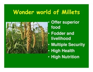 Wonder World Of Millets | PDF