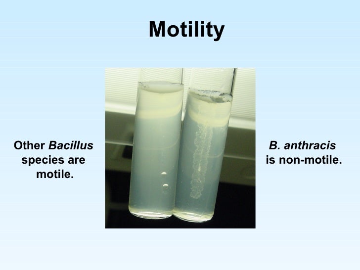 microbiological diagnosis