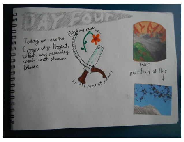 Field Studies Visual Journal | PPT