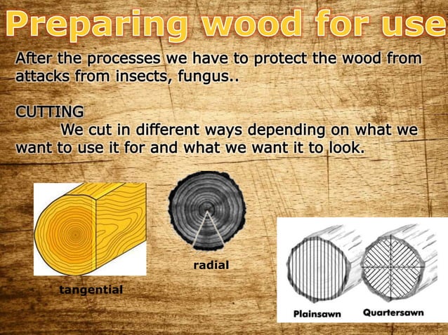 Wood and its derivatives | PPTX