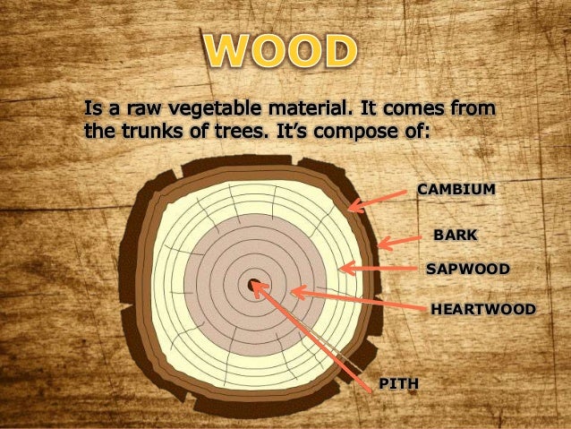Wood and its derivatives