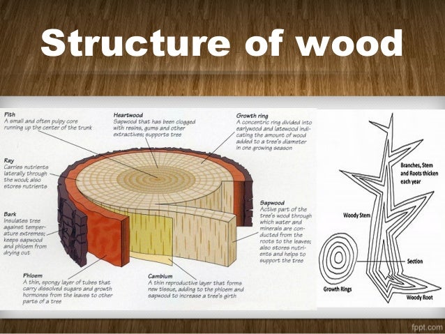 Wood