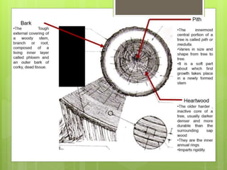 Specifications of Wood | PPTX
