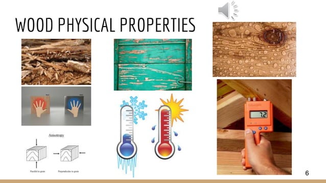 Wood | PPT