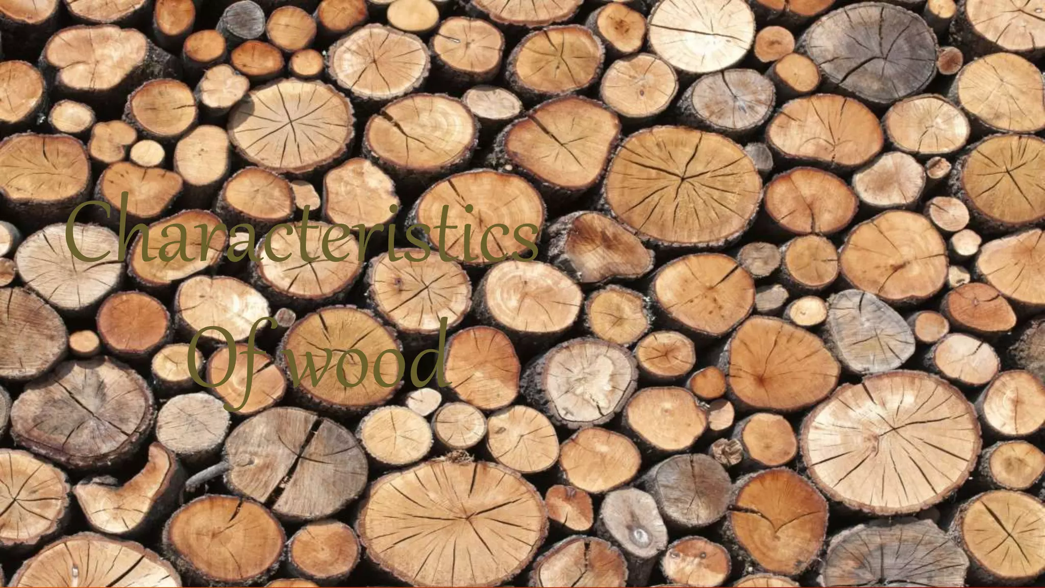 characteristics of wood | PPTX