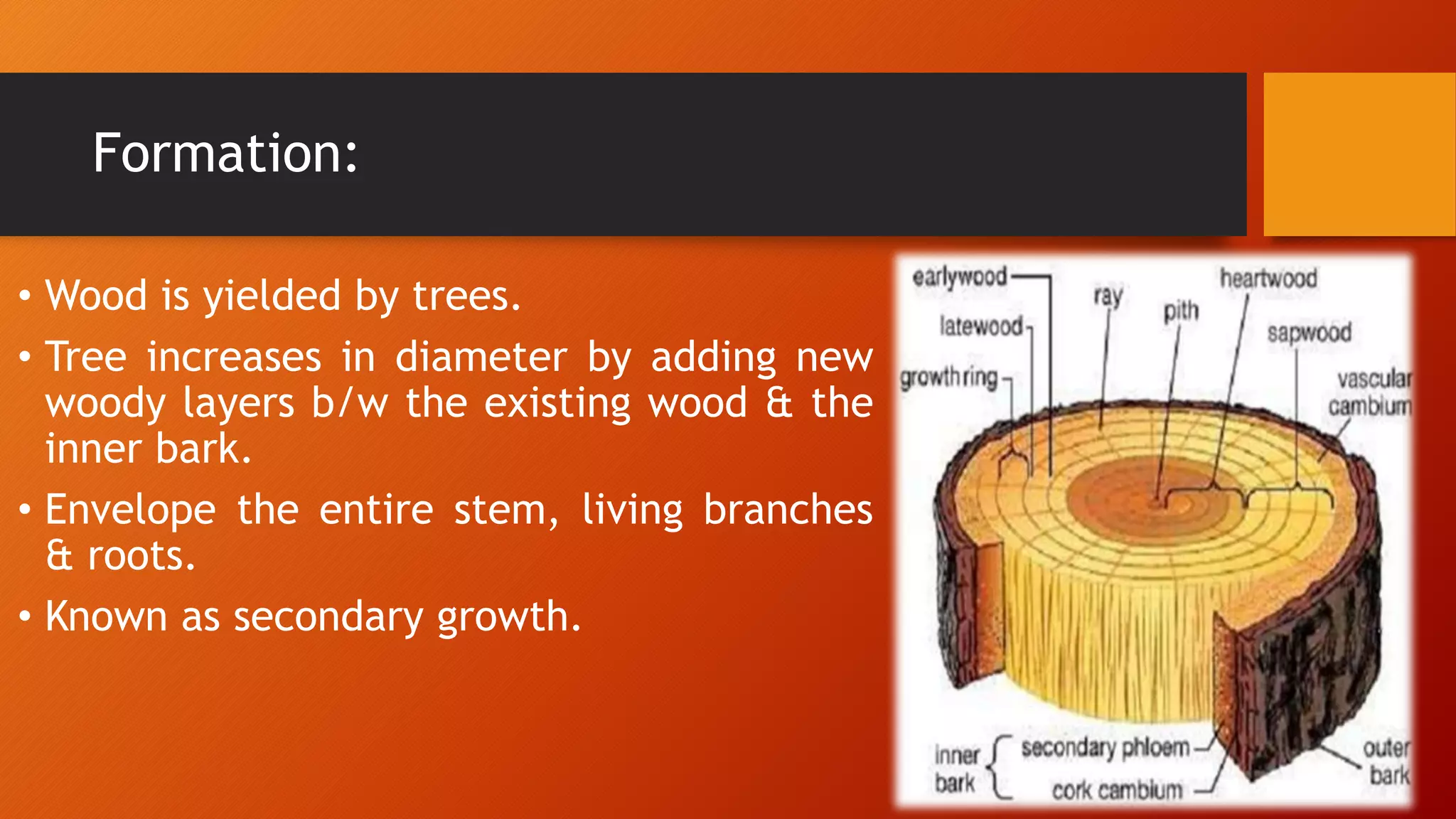 characteristics of wood | PPTX
