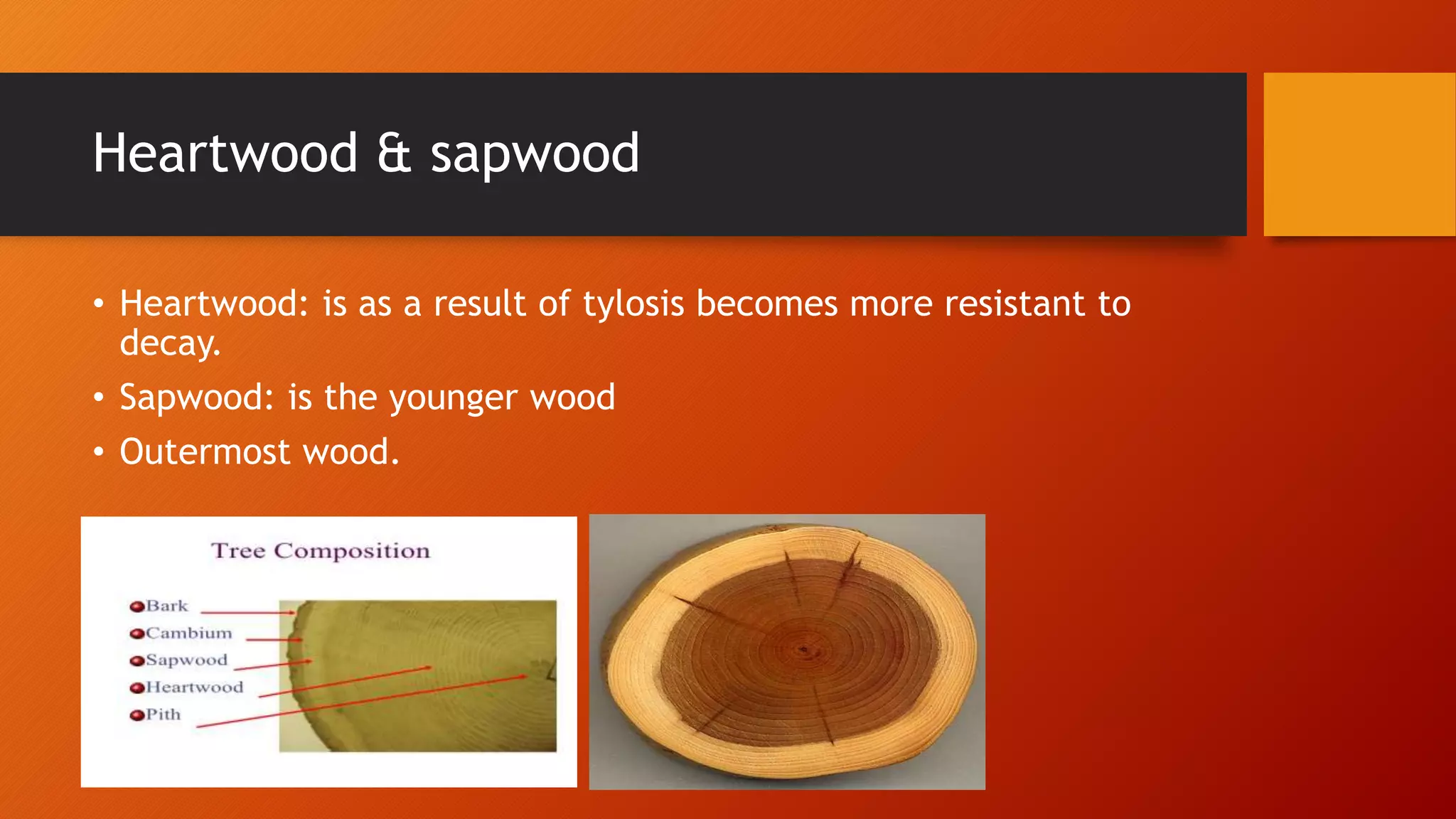 characteristics of wood | PPTX