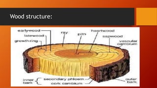 characteristics of wood | PPTX