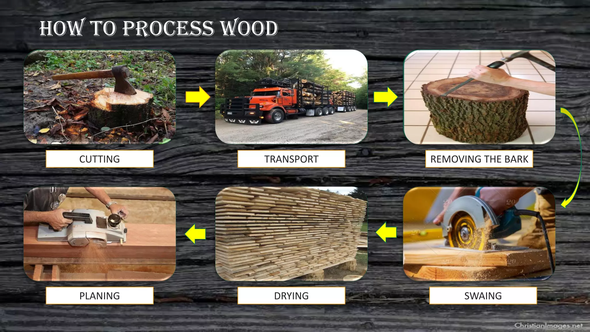 Wood | PPT