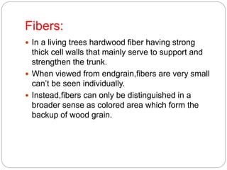 This presentation is about wood structure | PPT