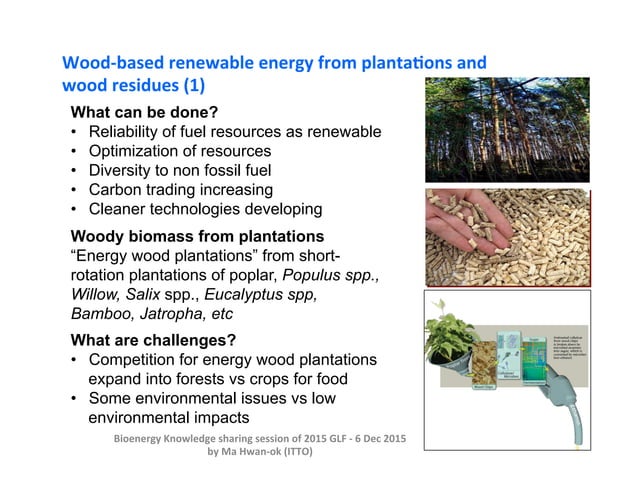 Wood based renewable energy from plantations and wood residues | PDF ...