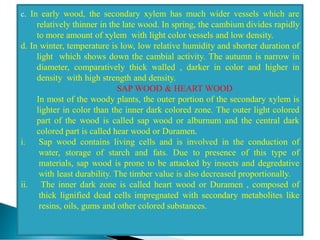 Wood-Types, properties & Importance | PDF