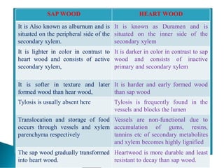 Wood-Types, properties & Importance | PDF