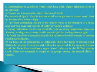 Wood-Types, properties & Importance | PDF