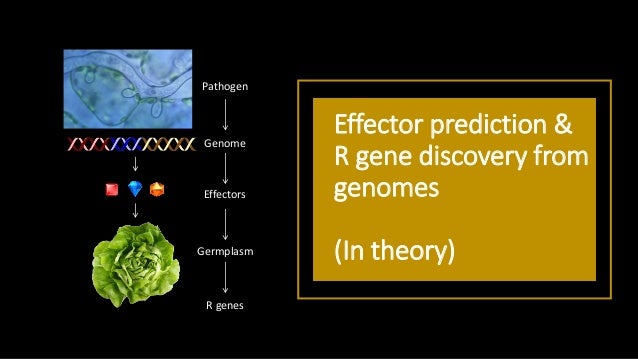 Better ways to predict effectors for functional characterization and