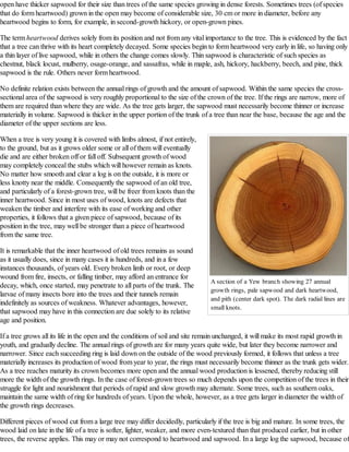 Wood wikipedia, the free encyclopedia | PDF | Woodworking | Arts and Crafts