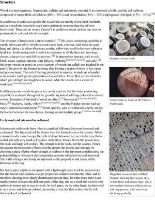 Wood wikipedia, the free encyclopedia | PDF | Woodworking | Arts and Crafts