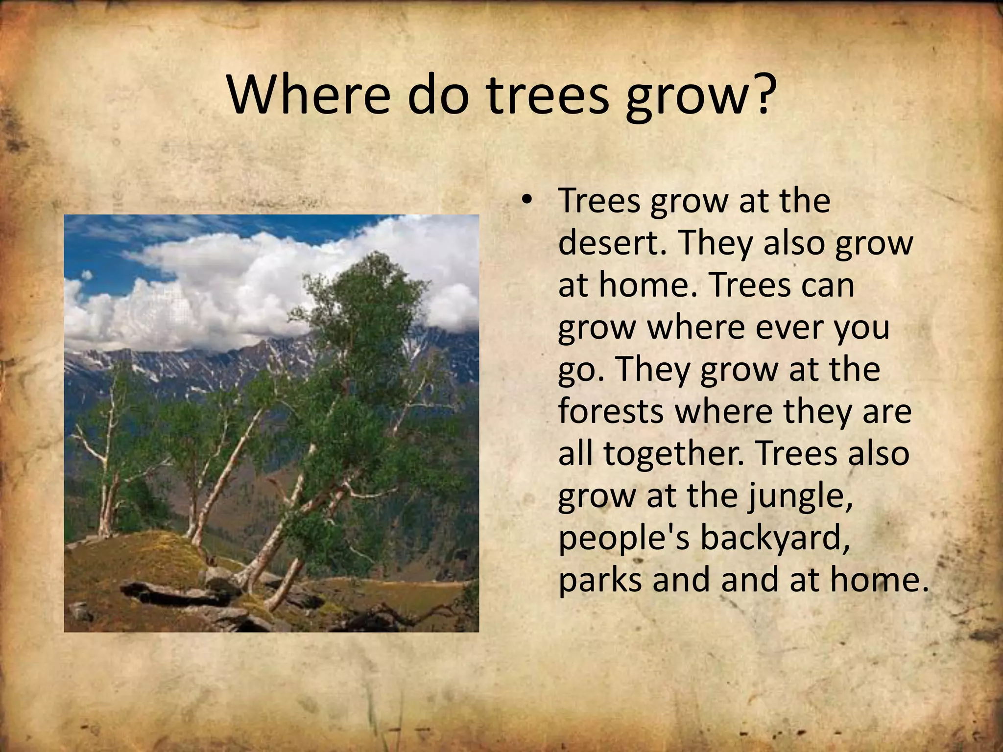 Wood a detailed study | PDF | Woodworking | Arts and Crafts