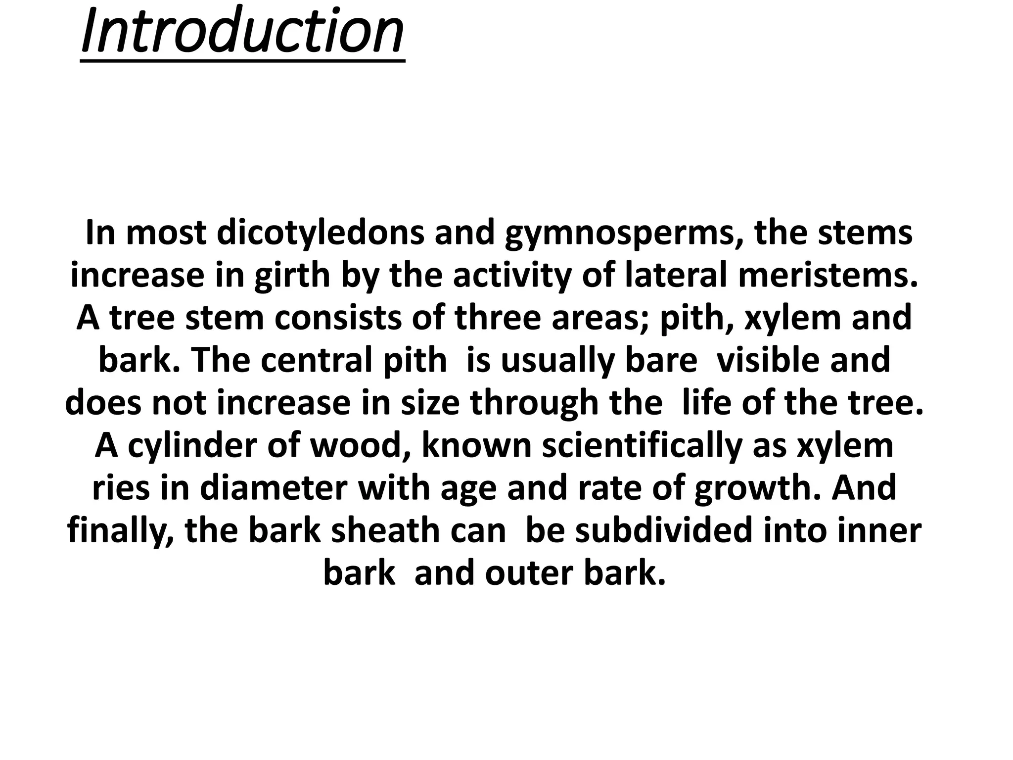 Wood anatomy | PPTX