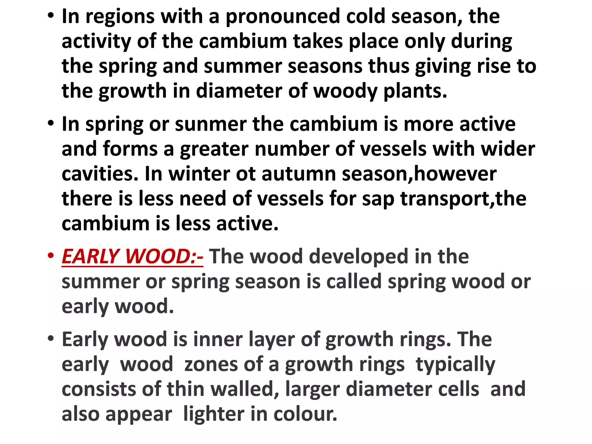 Wood anatomy | PPTX