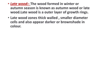Wood anatomy | PPTX