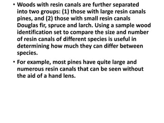 Wood anatomy | PPTX