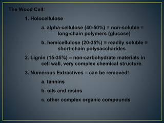 Tree Rings: Wood Anatomy | PPT