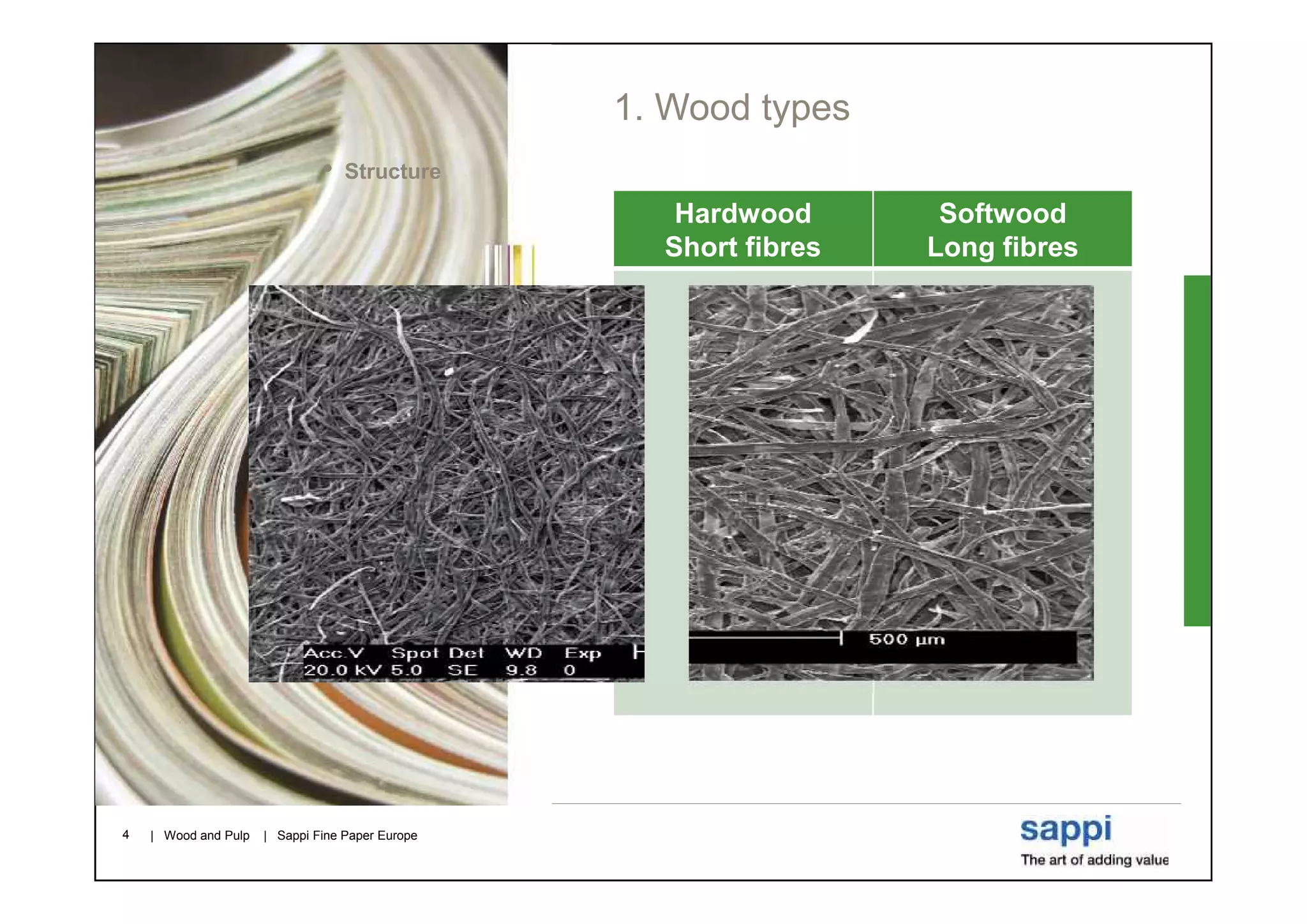 Wood and pulp | PDF