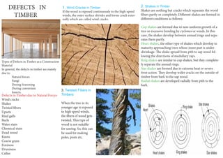 Wood and stone | PPT
