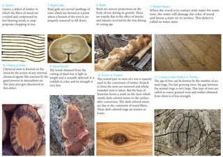 Wood and stone | PPT