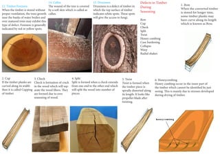 Wood and stone | PPT