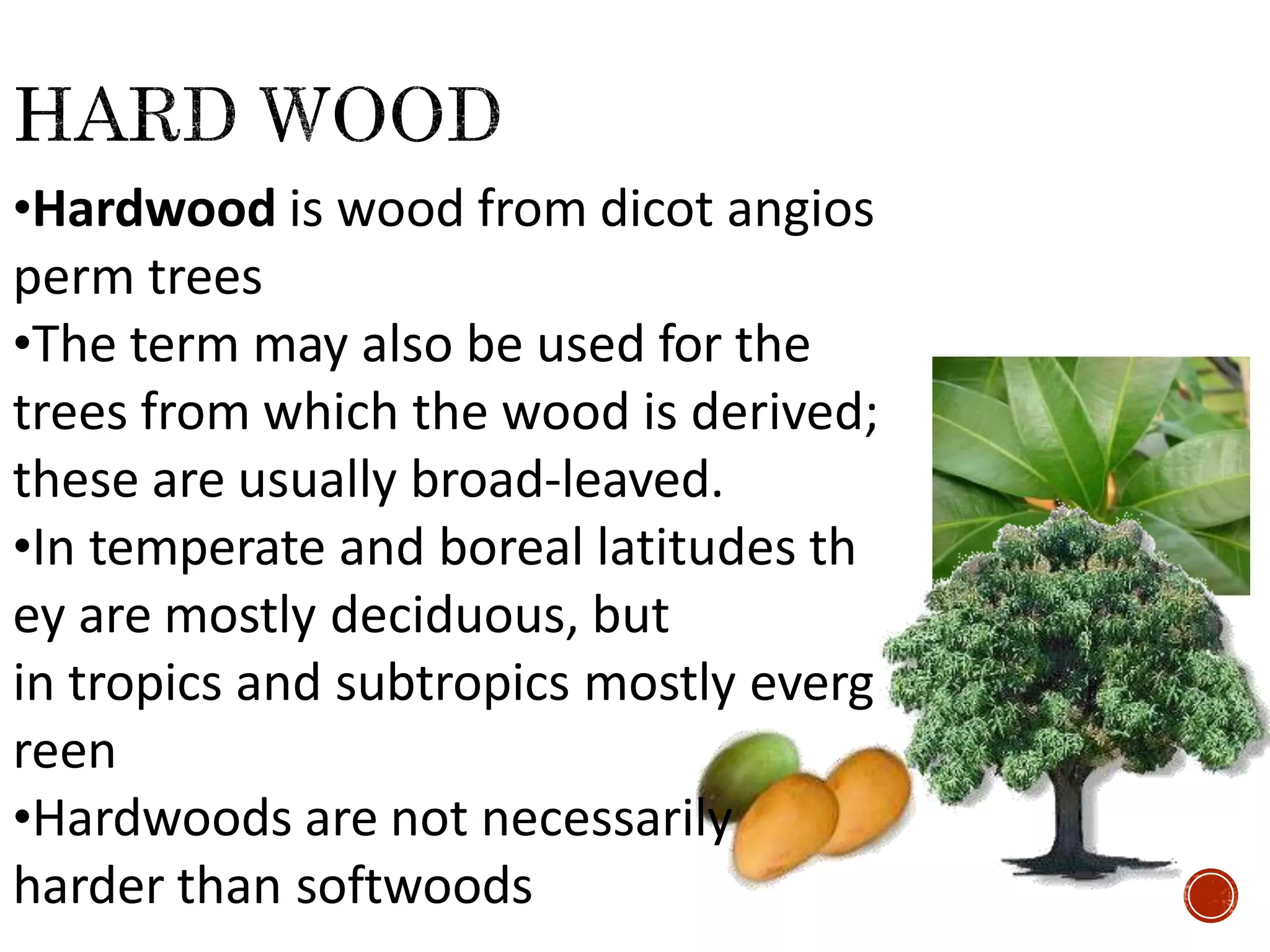 wood and wood products.pptx