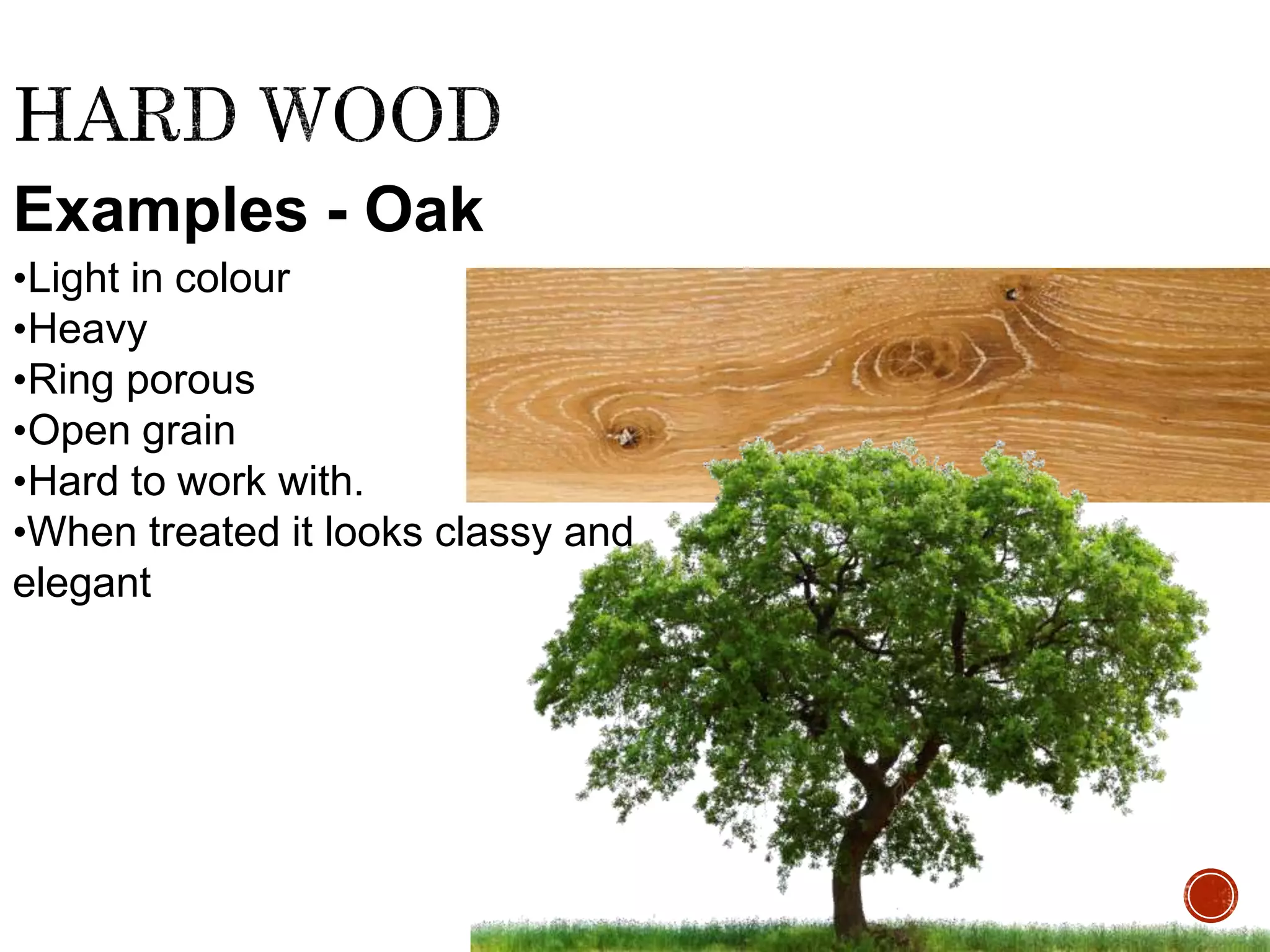wood and wood products.pptx