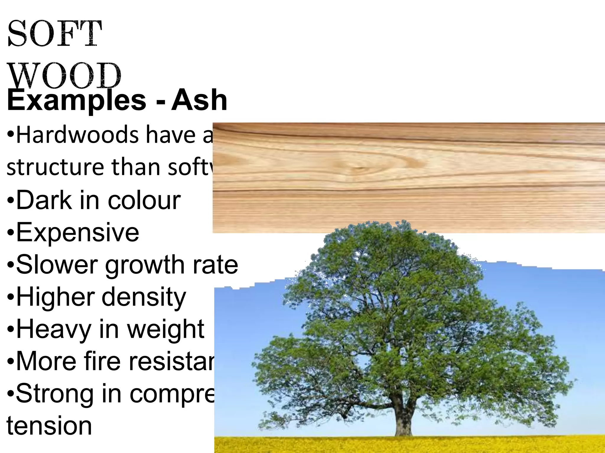 wood and wood products.pptx