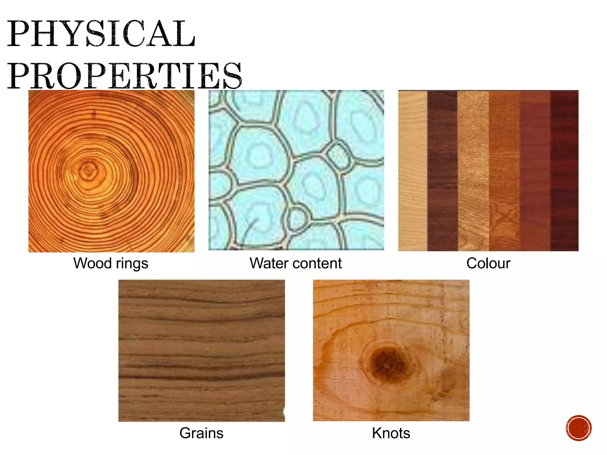 wood and wood products.pptx